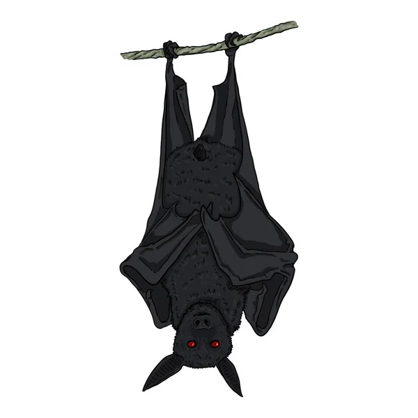 Bat hanging Vector Art Stock Images | Depositphotos