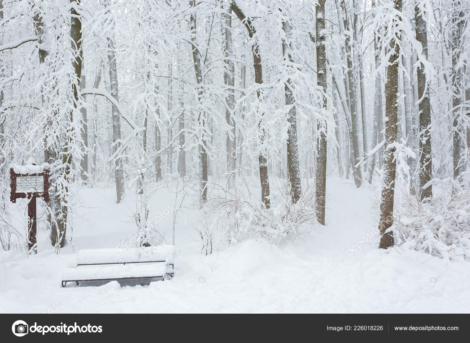 Winter Forest Heavy Snow — Stock Photo © kapustin_igor #226018226