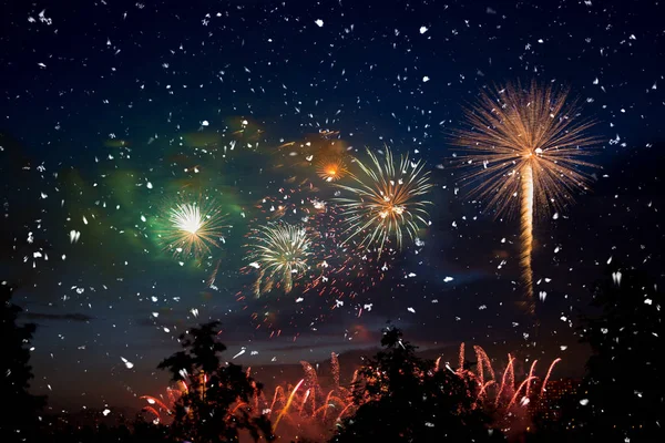 Fireworks Background Trees Dark Sky Falling Snow New Year Snowfall ...