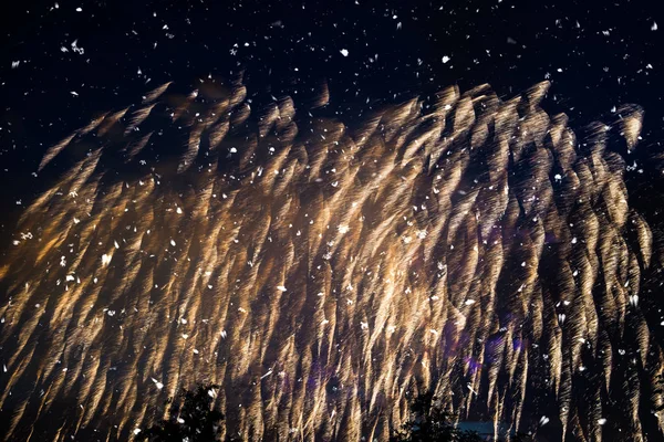 Fireworks Background Trees Dark Sky Falling Snow New Year Snowfall ...