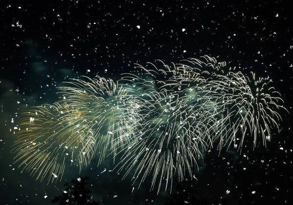 Fireworks Background Trees Dark Sky Falling Snow New Year Snowfall ...