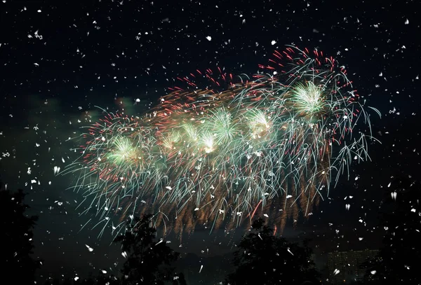 Fireworks Background Trees Dark Sky Falling Snow New Year Snowfall ...