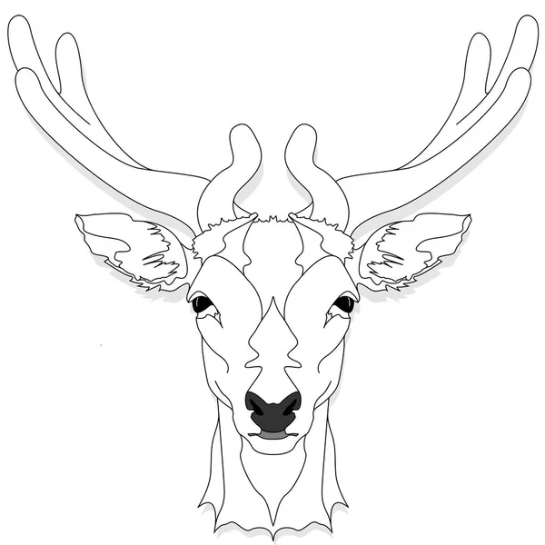 100,000 Whitetail buck Vector Images | Depositphotos