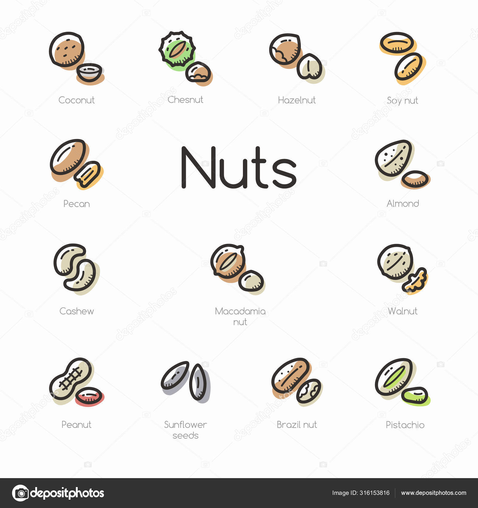 Set Colorful Nuts Icons Isolated Light Background Stock Vector by ©tomas.knopp@gmail.com 316153816