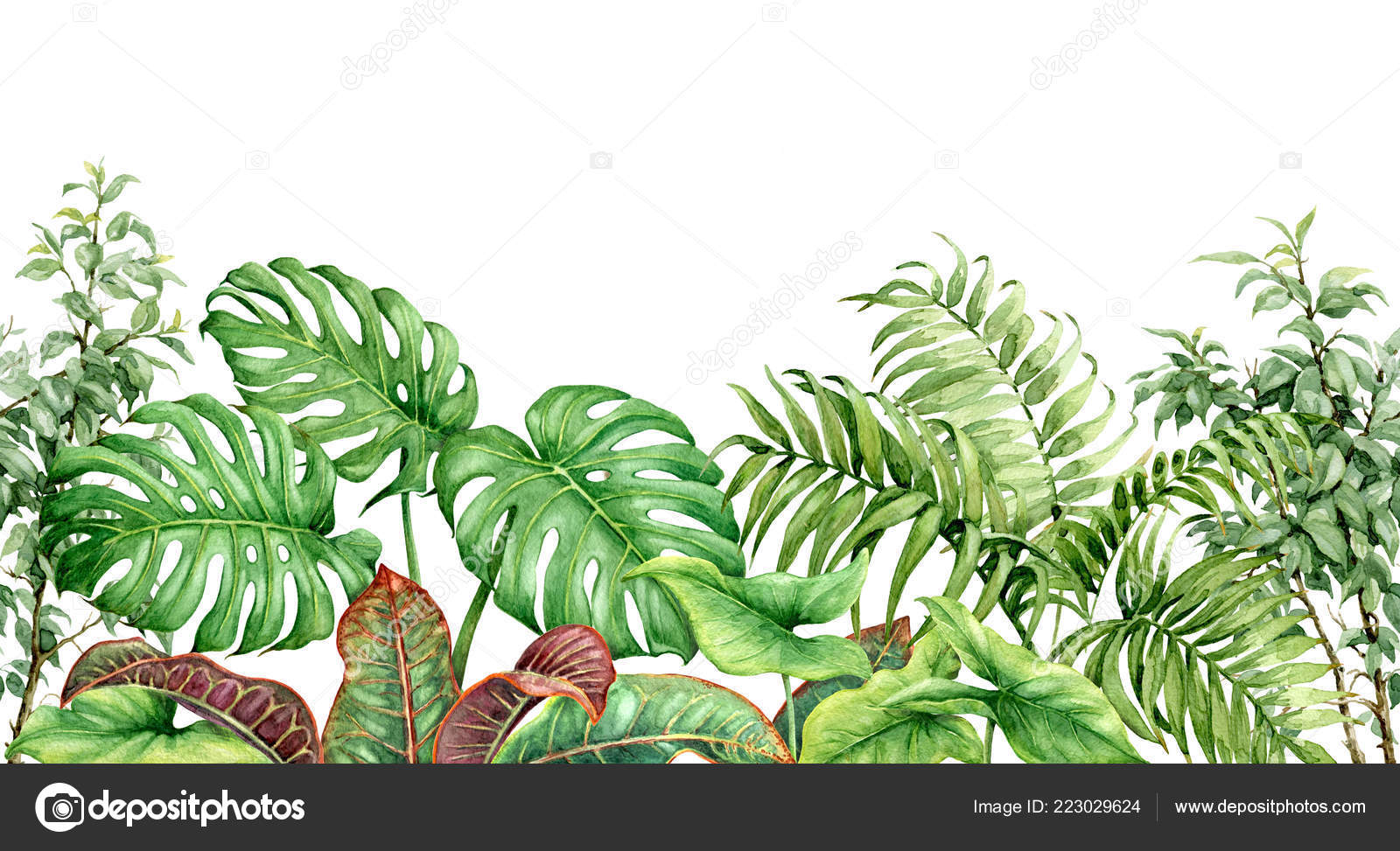 Hand Drawn Tropical Plants Seamless Line Horizontal Border Made ...
