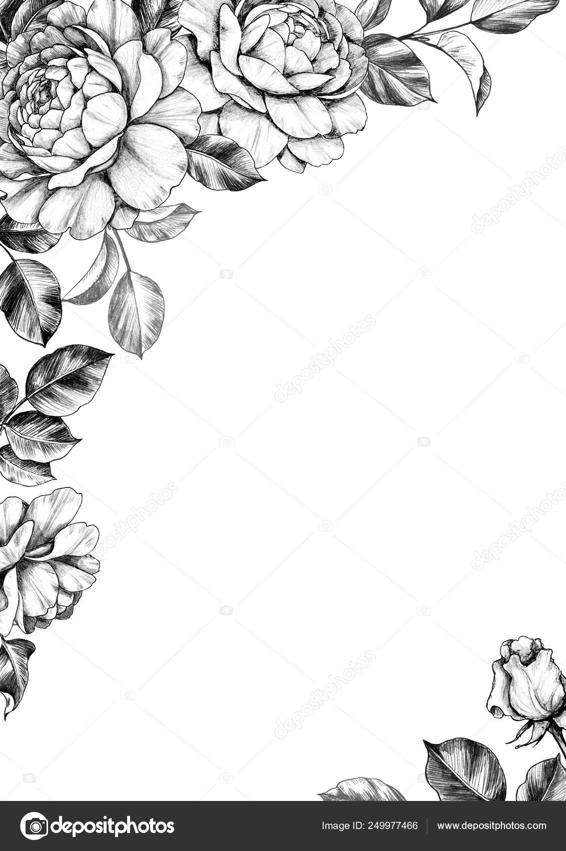 Black And White Flower Border Backgrounds