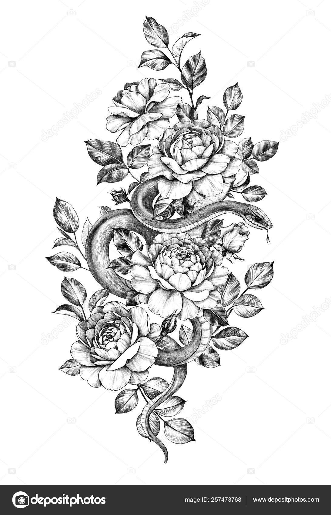Hand Drawn Monochrome Snake among Roses Stock Illustration by ©Valiva ...