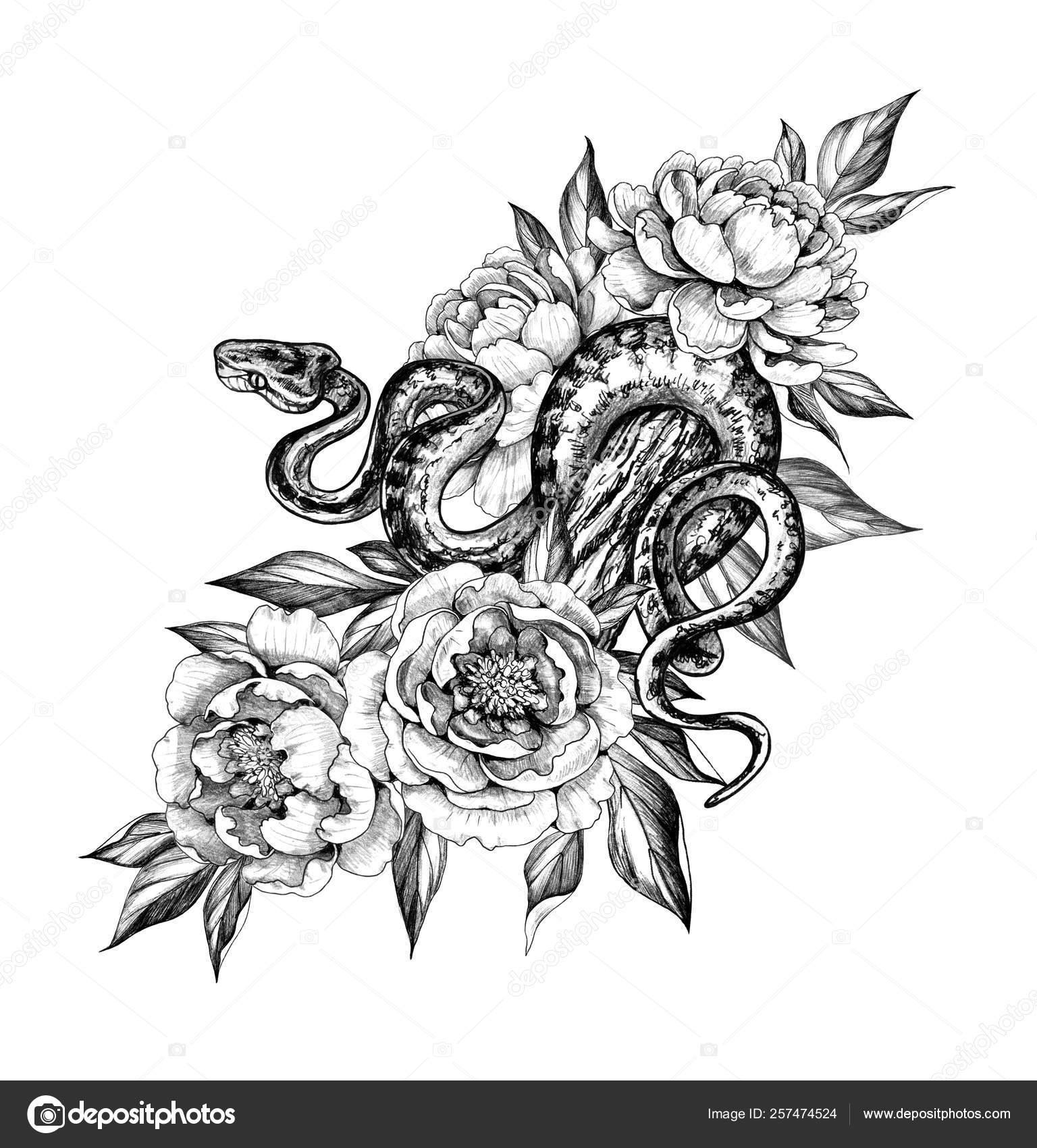 Hand Drawn Monochrome Creeping Python among Peony Flowers Stock ...