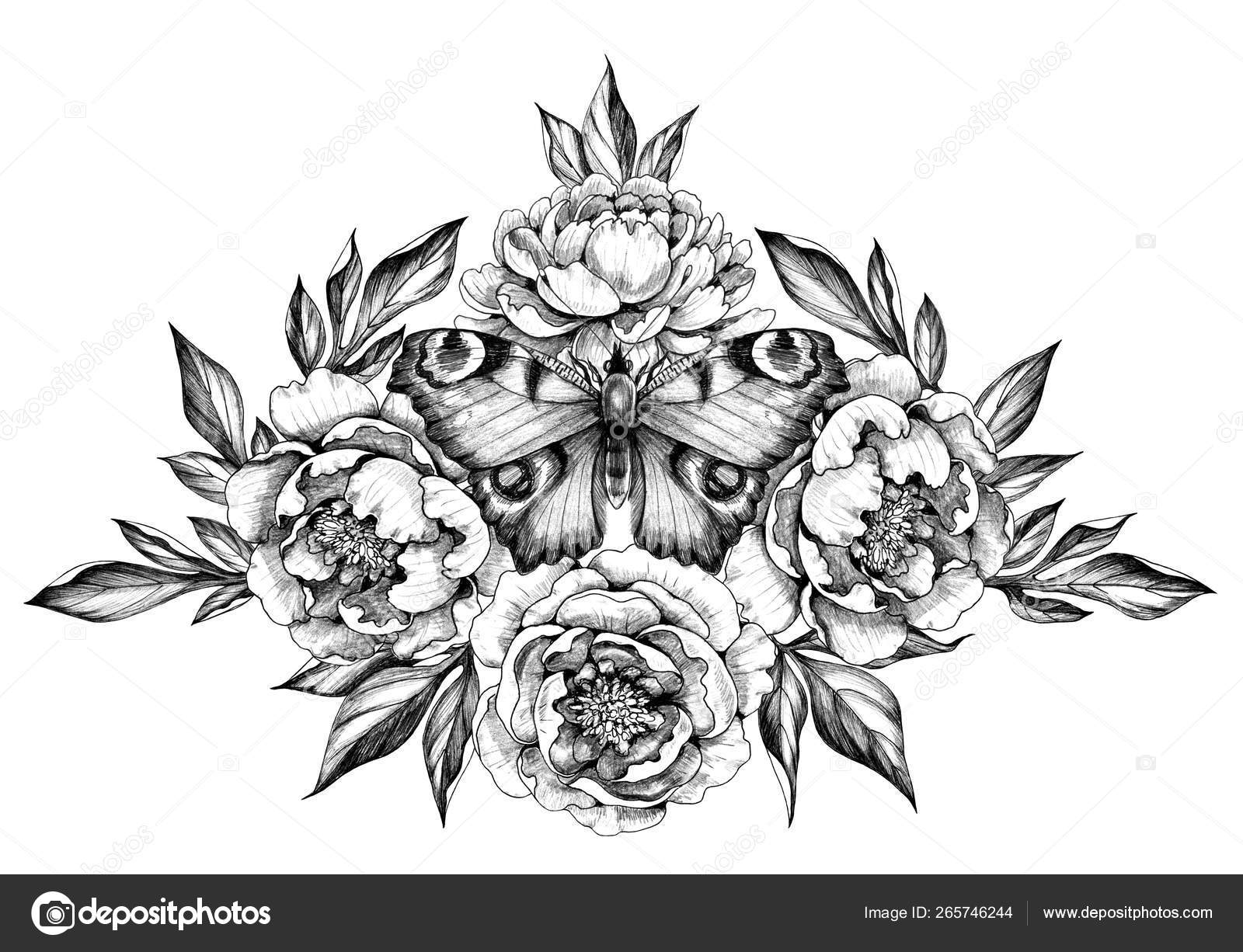 Butterfly And Rose Drawings In Pencil