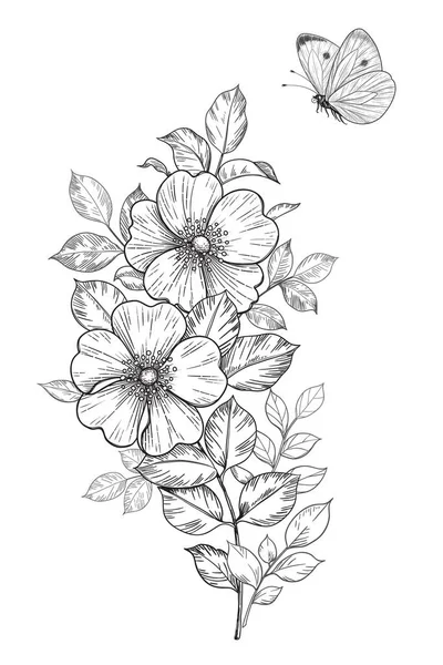 11,610,980 Coloring page butterfly Vector Images | Depositphotos