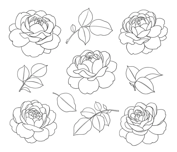 Simple Rose Drawing Outline