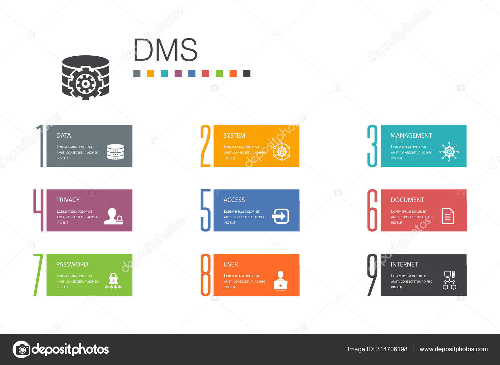 DMS Infographic 10 option line concept.system, management, privacy ...