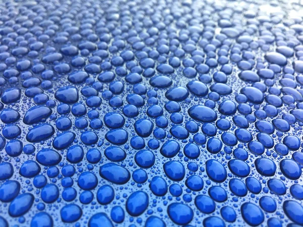 Water beading Stock Photos, Royalty Free Water beading Images ...