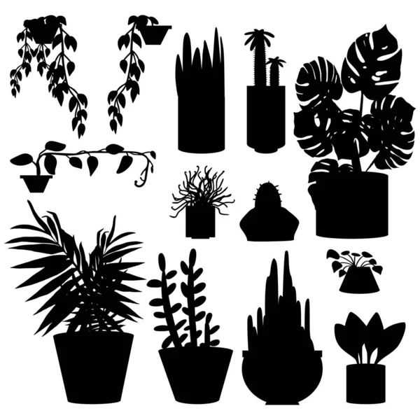 Indoor plants silhouette Vector Art Stock Images | Depositphotos
