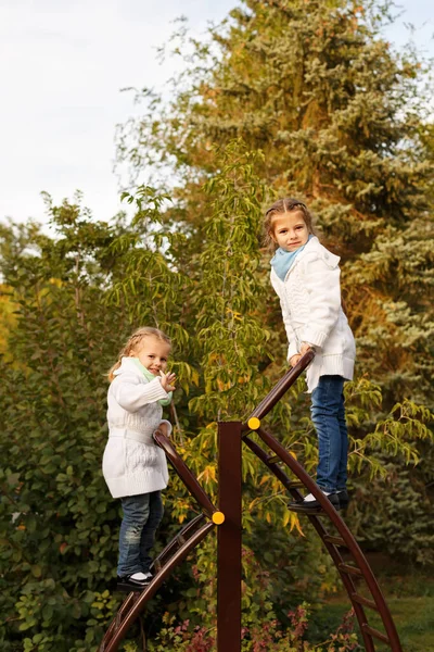Cute little sisters climbing the ladder to the playground in autumn ...