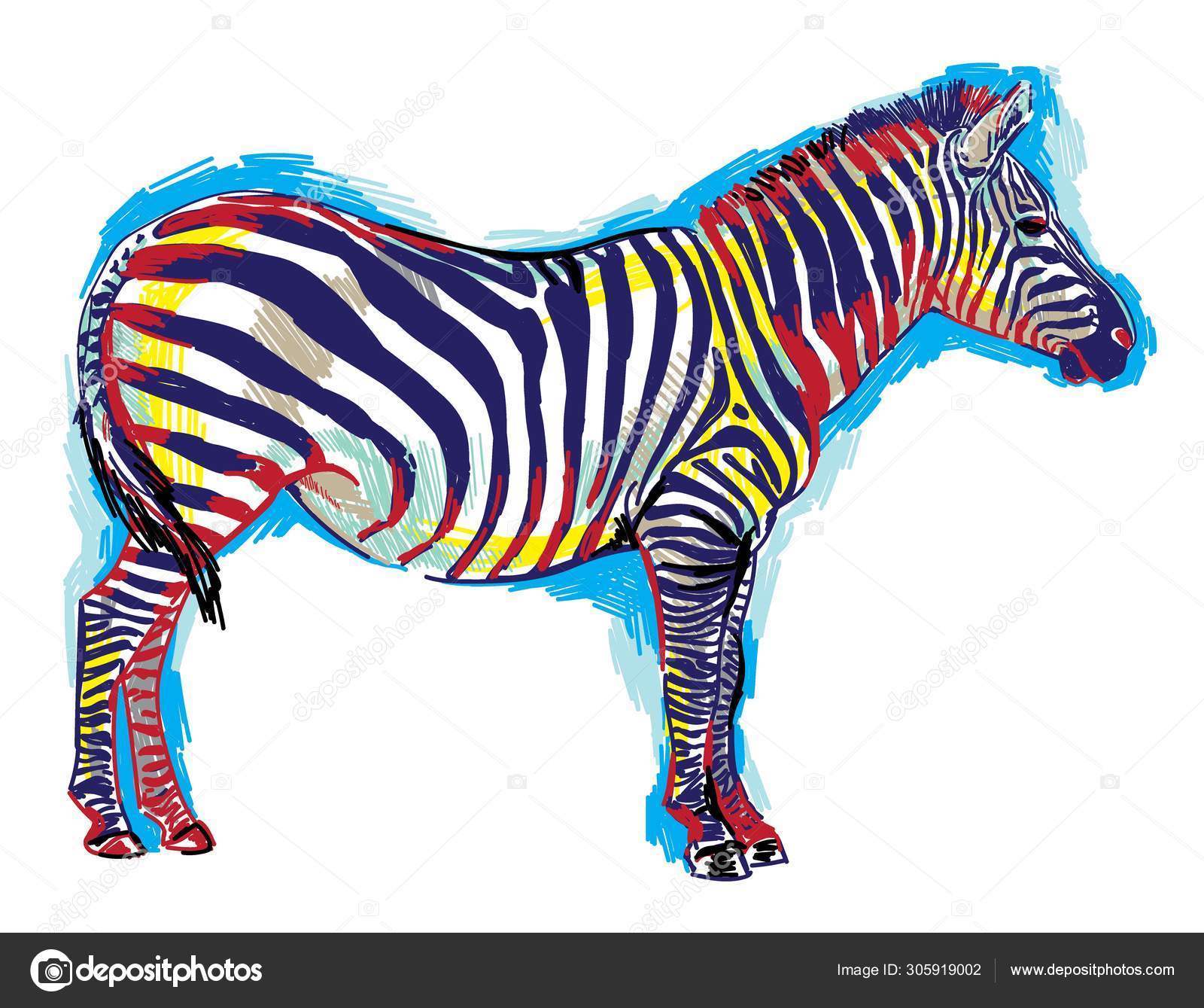 Colorful Zebra Drawing