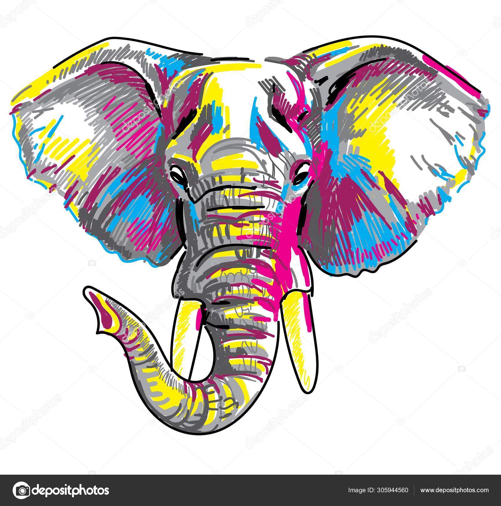 African Elephant Head Drawing