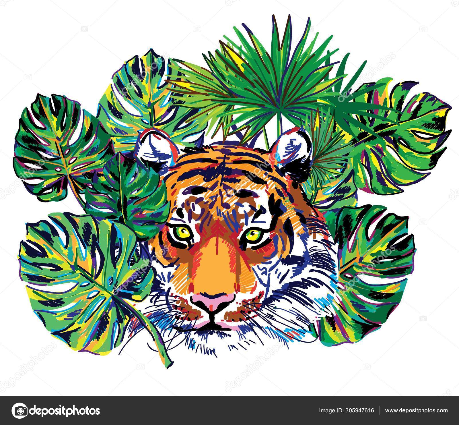 Tiger Jungle Large Leaves Tropical Plants Multicolored Drawing Stock ...