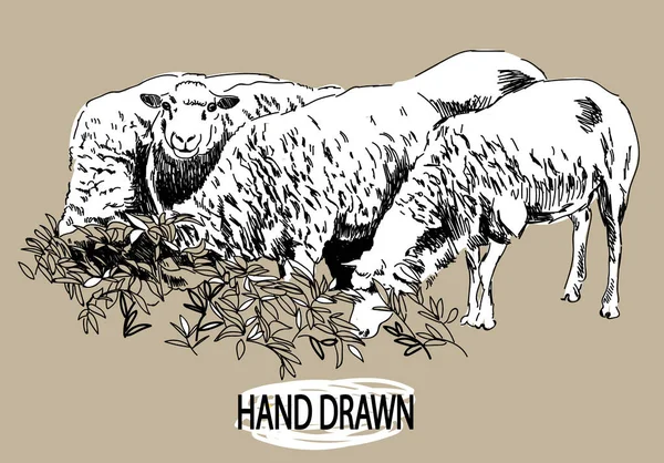 Two Cows Vintage Style Image Vintage Image Freehand Drawing Meat Stock ...