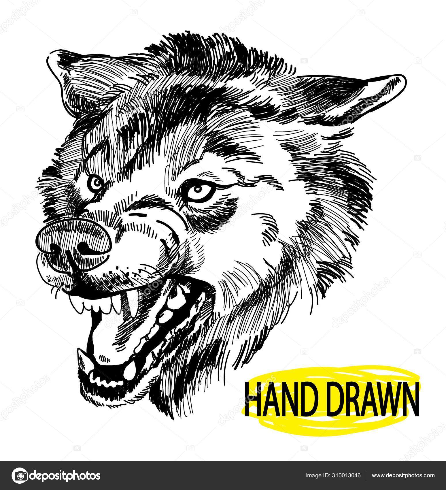 Wolf Attacking Drawing