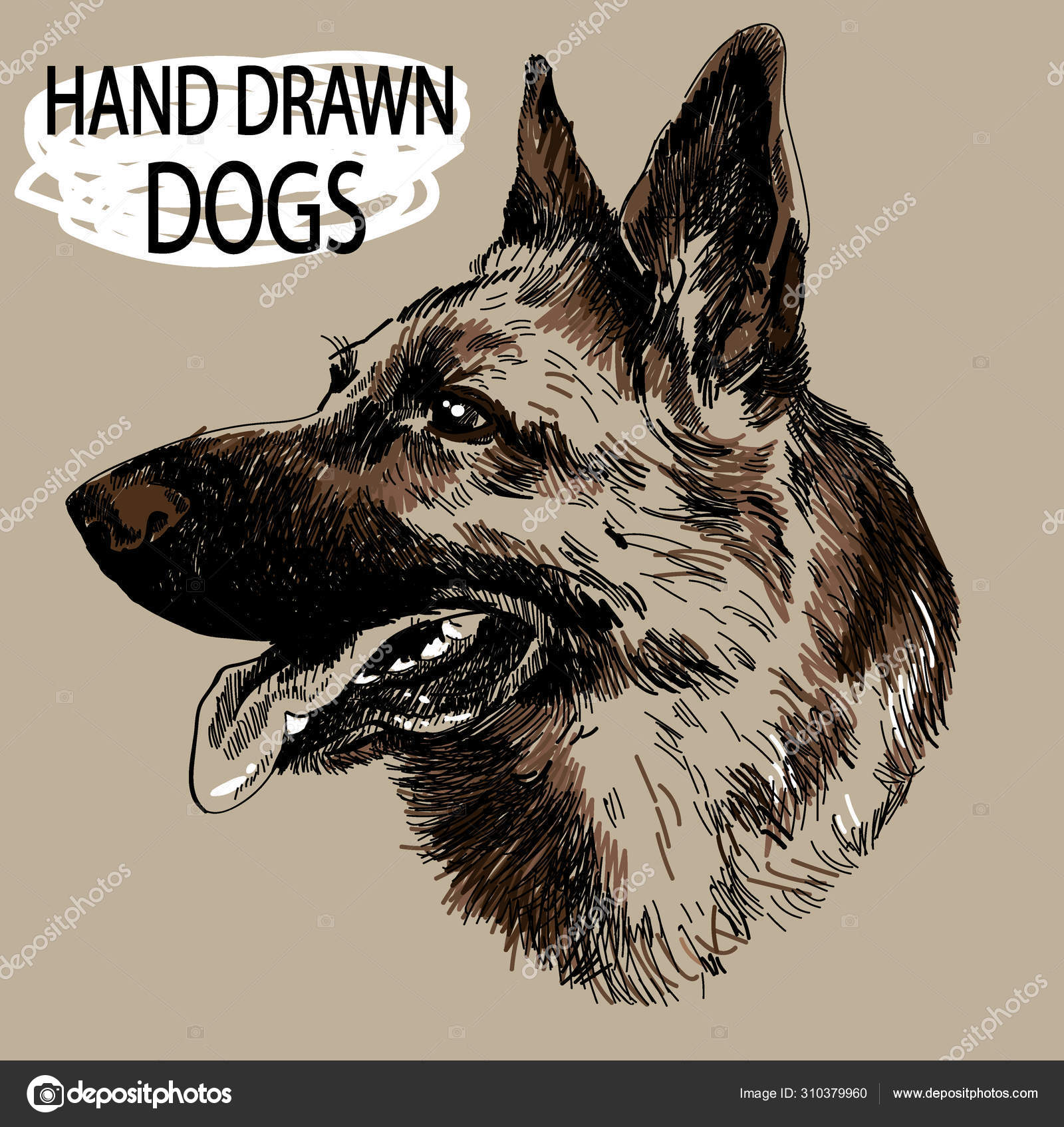 German Shepherd Head Drawing