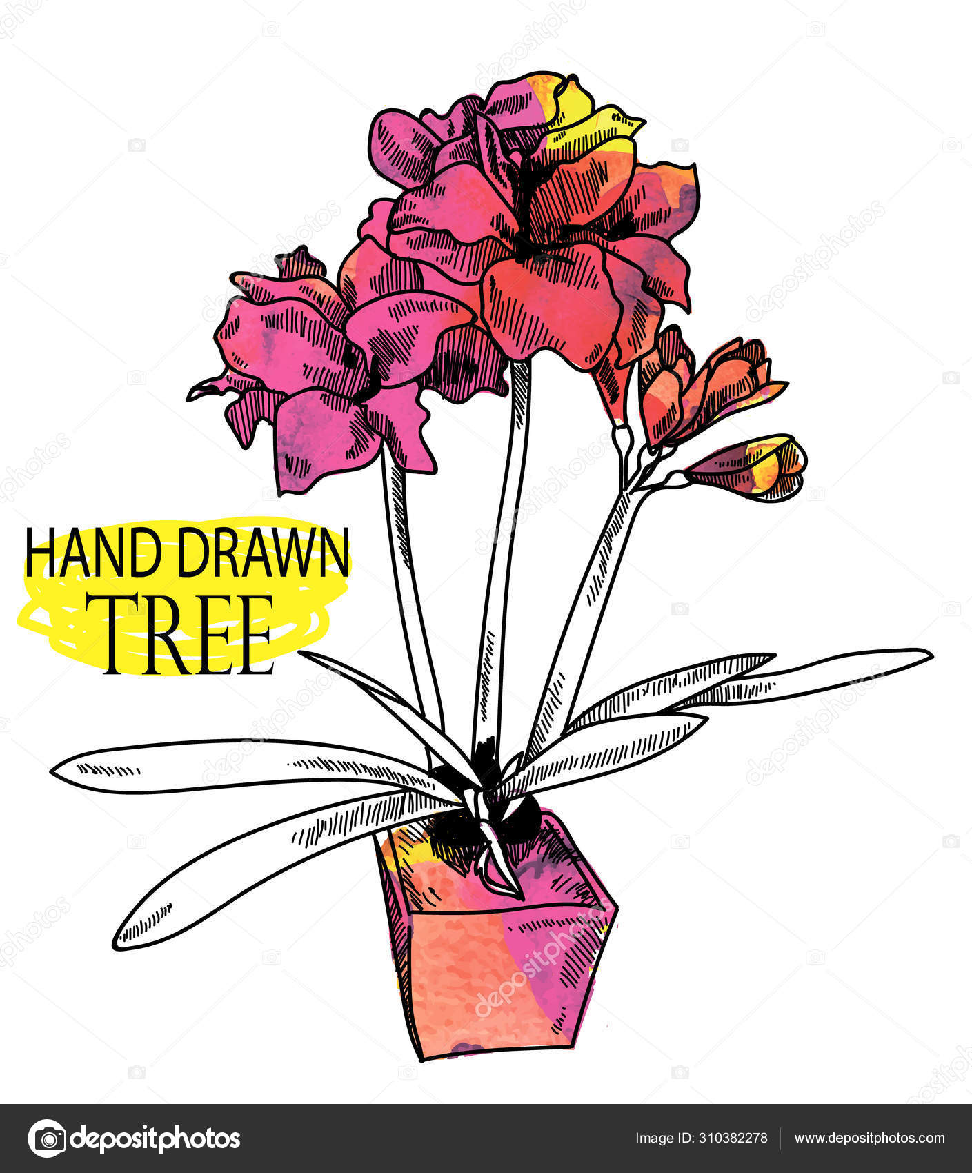 Planta Maceta Con Flores Dibujo Mano Estilo Vintage Vector de stock ...