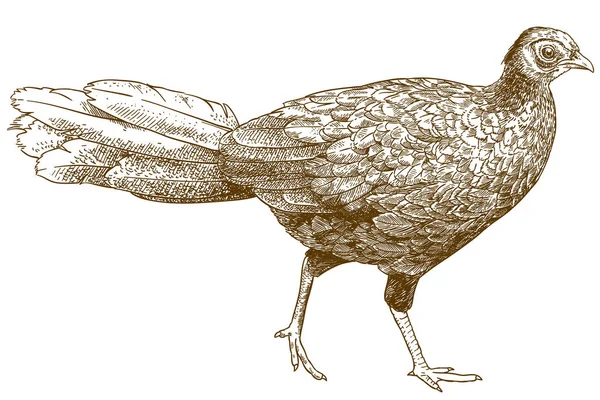 Silver burung pegar Vector Art Stock Images | Depositphotos