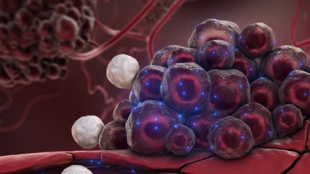 Destruction of tumor cells 3d animation — Stock Video © scienceanm ...
