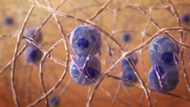 In biology, regeneration is a process of regeneration, restoration and ...