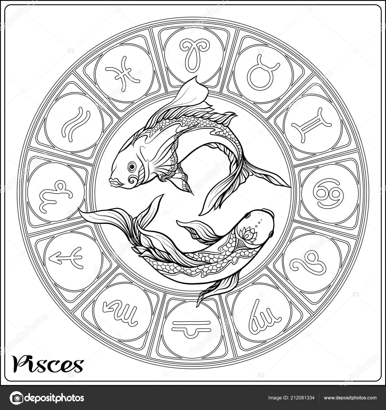 Image vectorielle Signe du zodiaque. Collection d'horoscope ...
