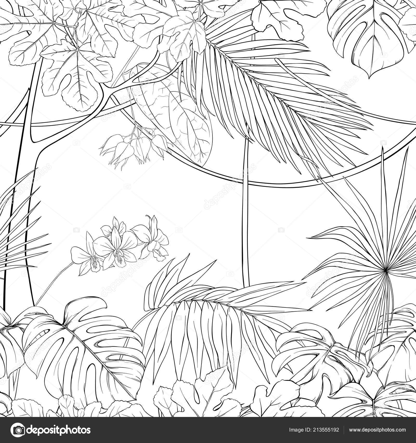Tropical Flowers Line Drawing | Best Flower Site