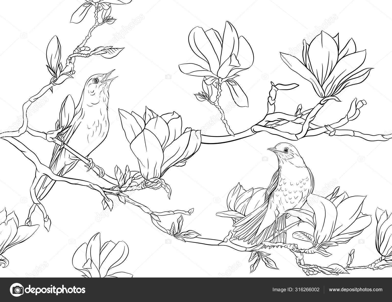 Magnolia tree branch Stock Illustration by ©ElenaBesedina #316266002