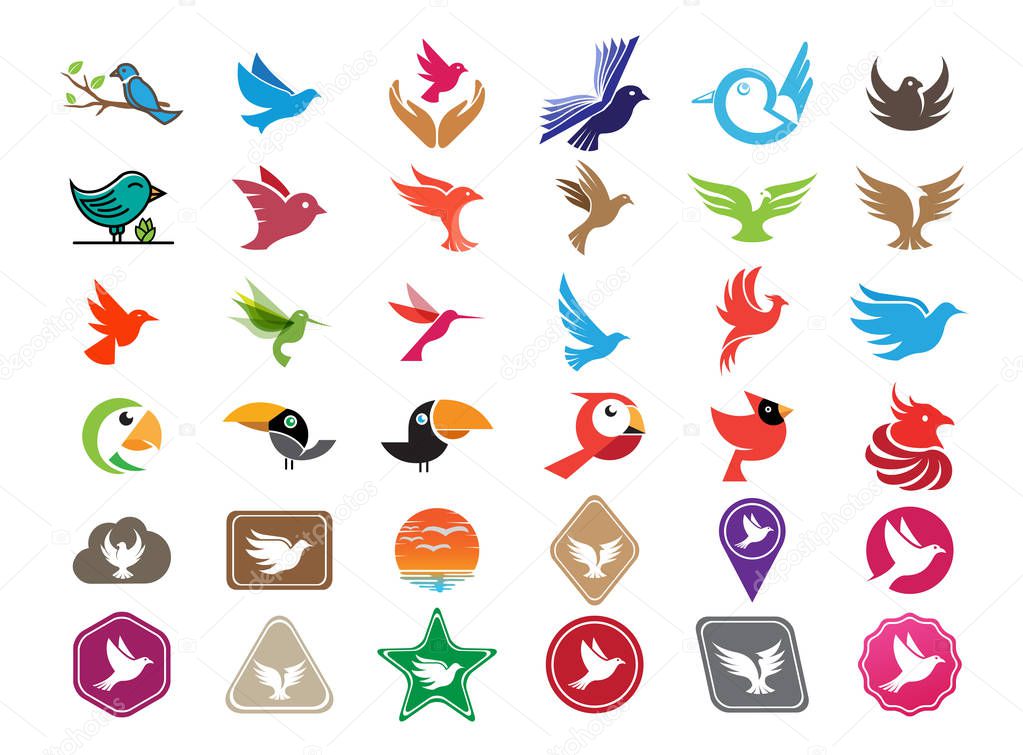 Aves 36 iconos conjunto logotipo diseño ilustración sobre fondo blanco ...