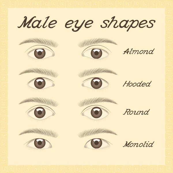 Different Eye Shapes Chart
