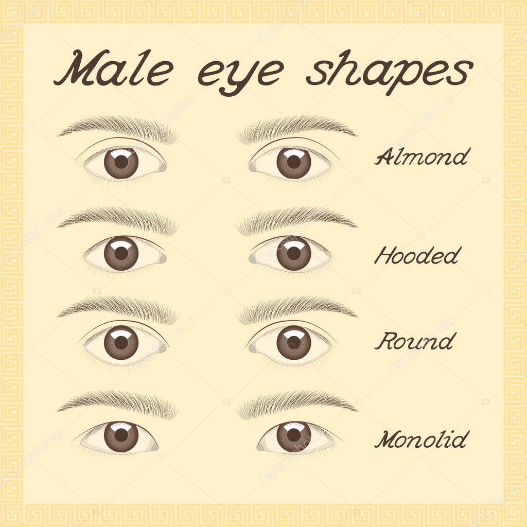 Formas y tipos de ojos. Varias formas de ojos masculinos. Vector. 2023