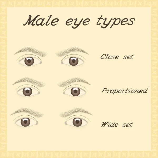 Various female eye types. — Stock Vector © Yuliya-Darafei #293389382