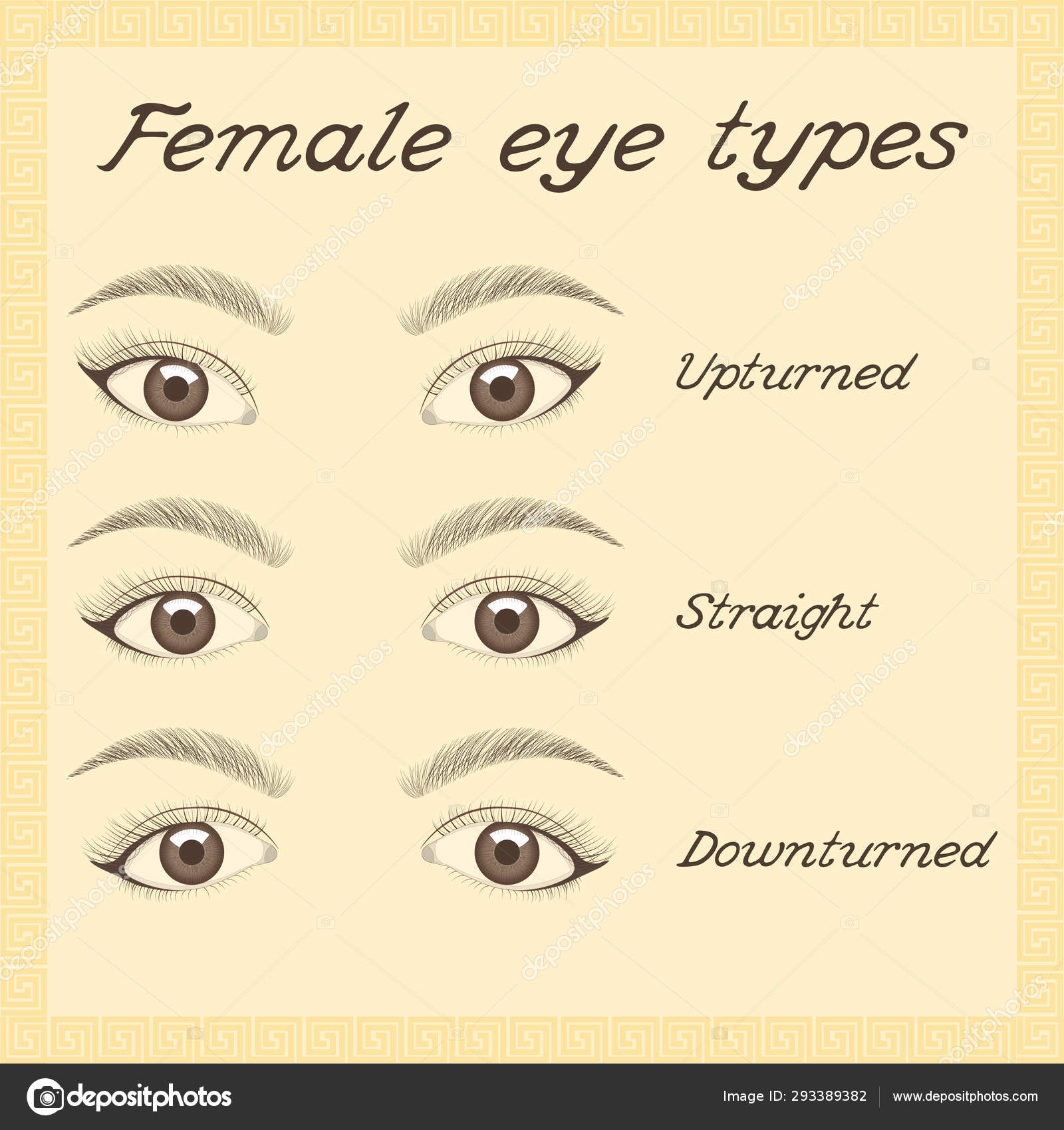 Types Of Eye Shapes