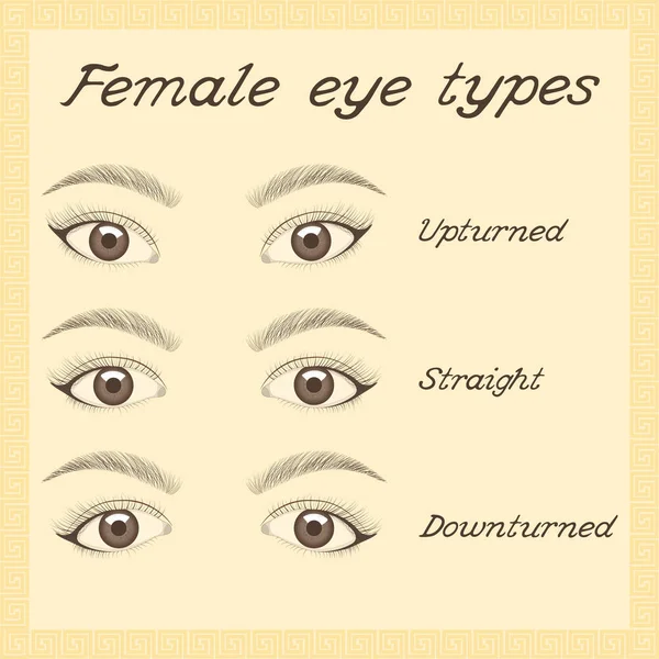 Different Eye Shapes Chart