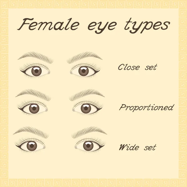 394 Eye types Vector Images | Depositphotos