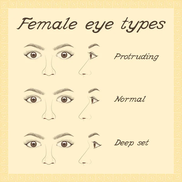 Various female eye types. — Stock Vector © Yuliya-Darafei #293389382