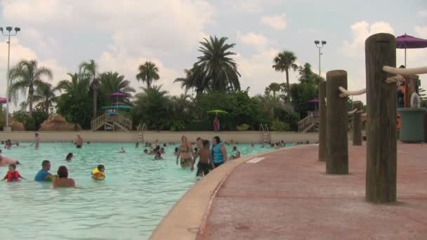 People Enjoying Wave Pool Seaworld Orlando's Aquatica Water Park Hot ...