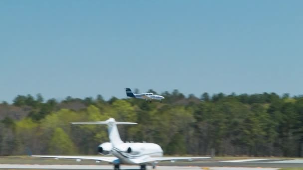 40 Crabtree Videos, Royalty-free Stock Crabtree Footage | Depositphotos