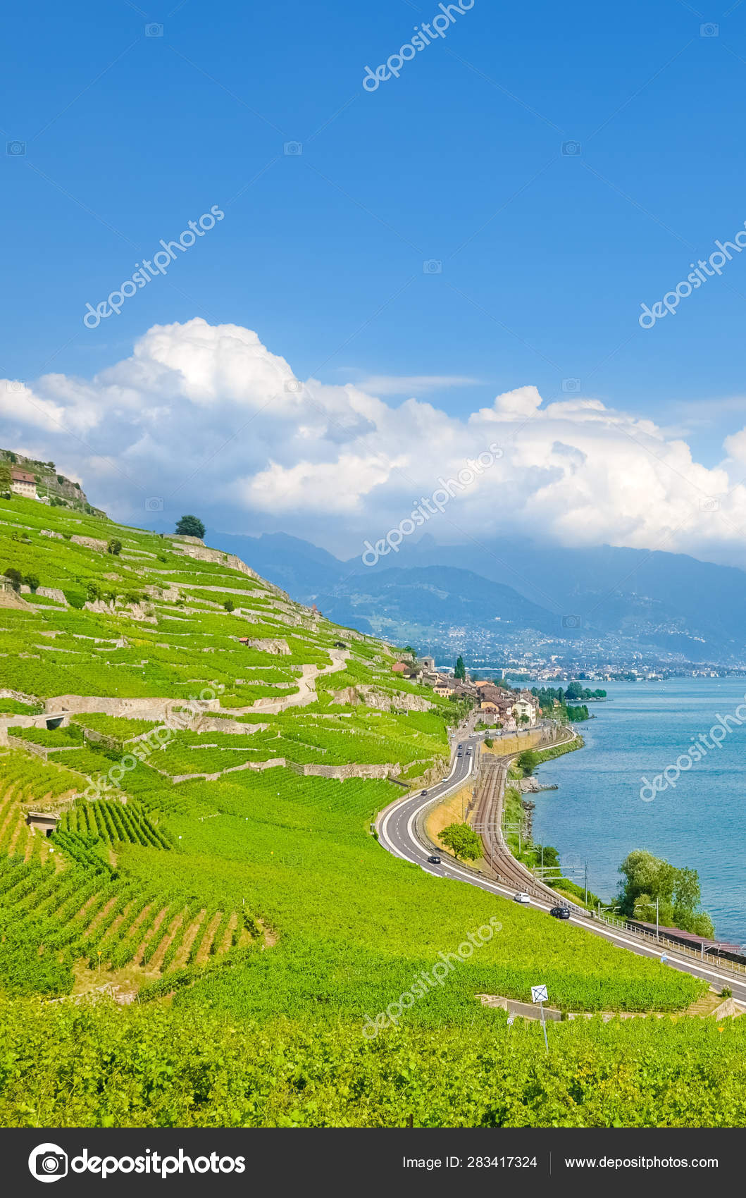 Beautiful terraced vineyards on the slopes by Swiss Geneva Lake, French ...