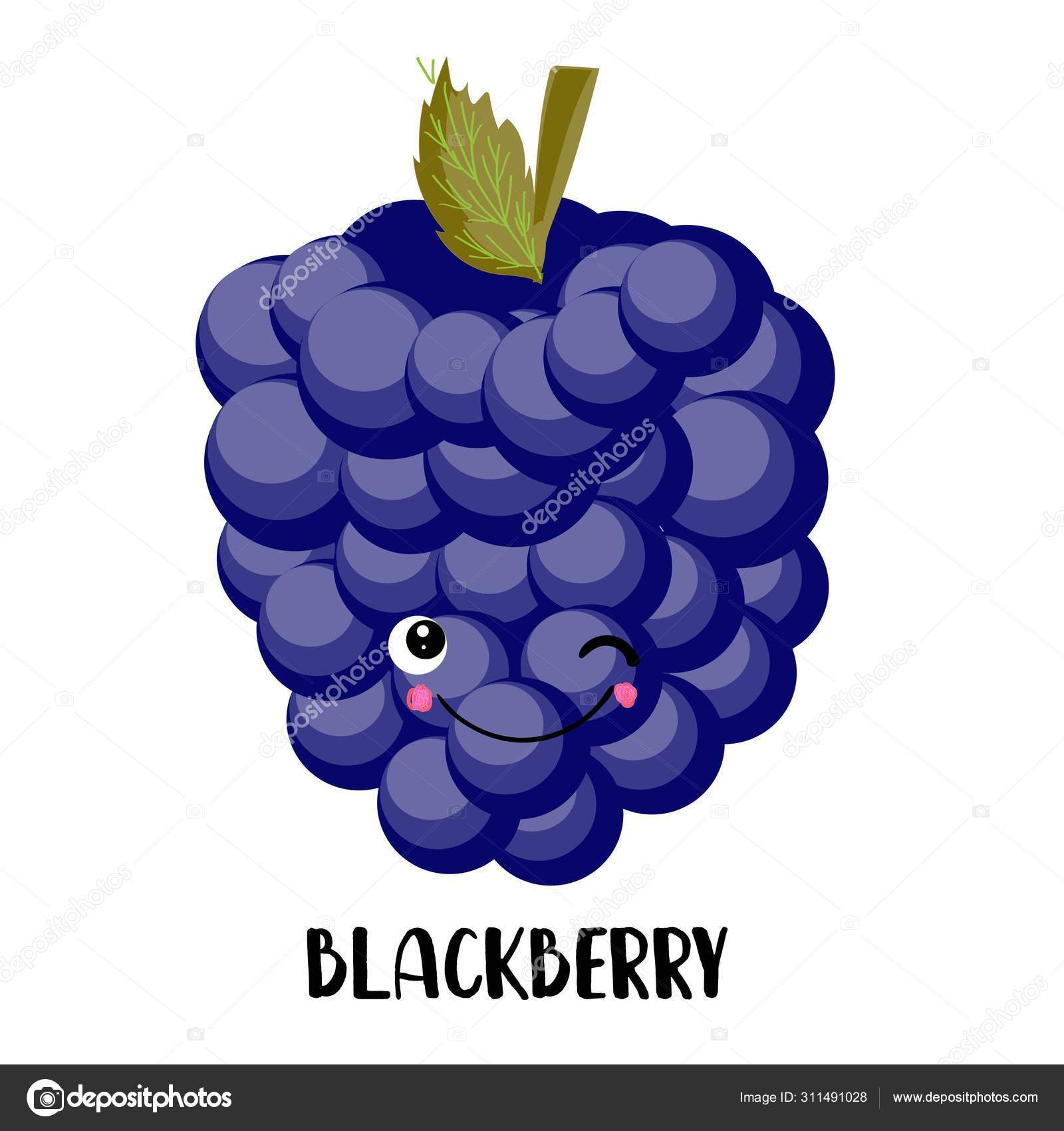 Cartoon Blackberry Fruit