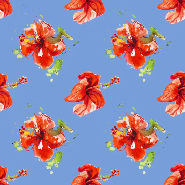 Hibiscus Flowers Frame Isolated White Stock Illustration by ©dikkiddivo ...