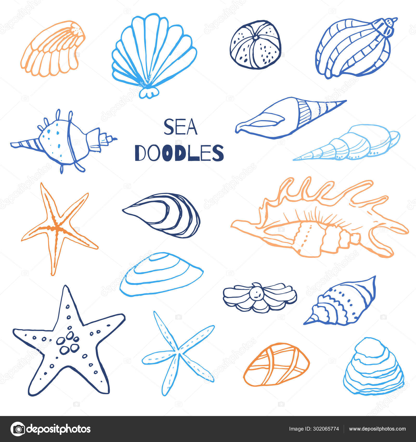Collection Sea Shell Ink Doodles White Backdrop Seamless Pattern ...