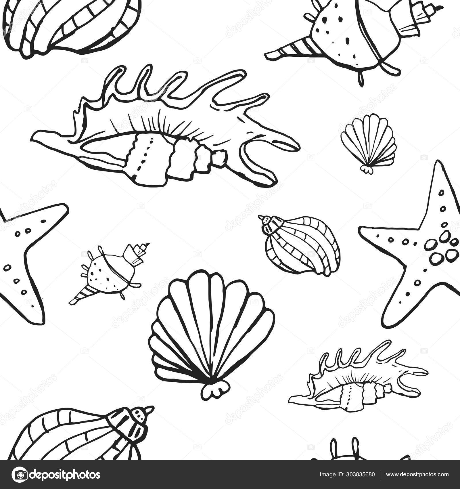 Collection Sea Shell Ink Doodles White Backdrop Seamless Pattern ...