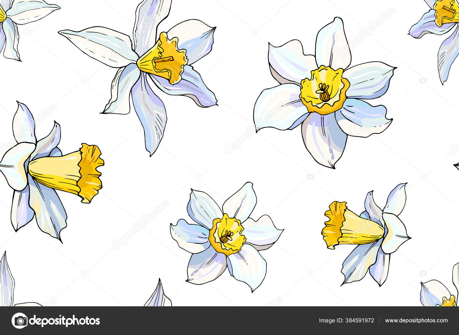 Vector Illustration Blooming Narcissus Flowers Set Floral Background ...