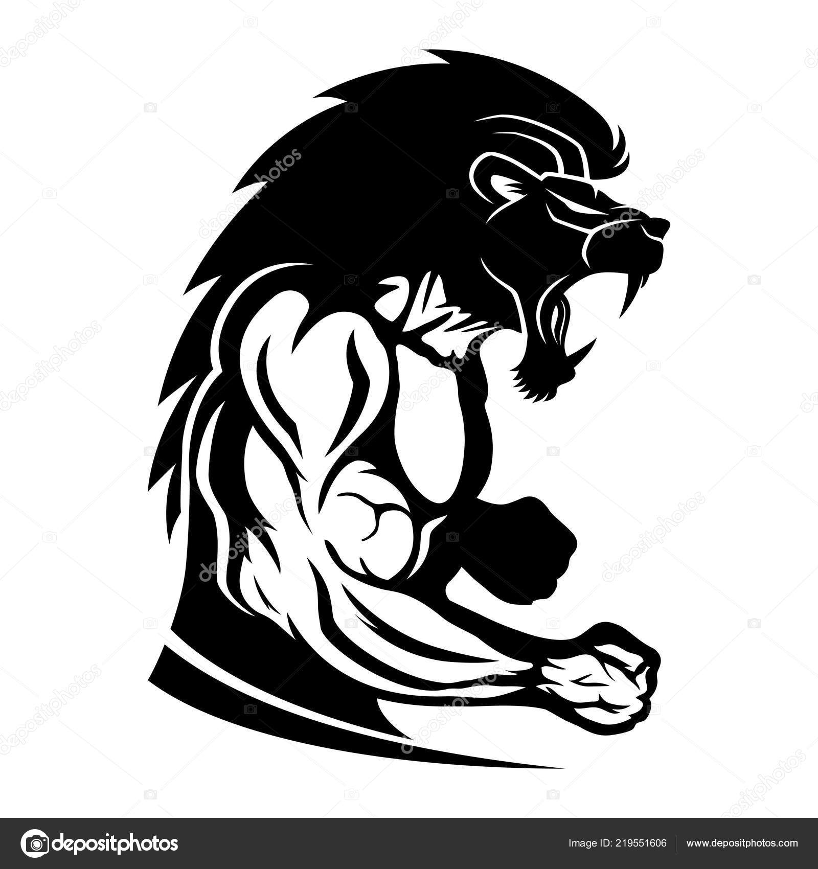 Muscular Lion Drawing