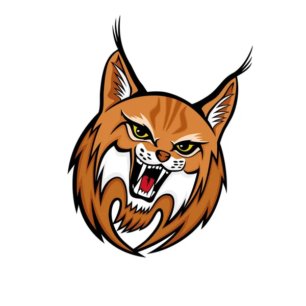 Lynx cartoon Vector Art Stock Images | Depositphotos